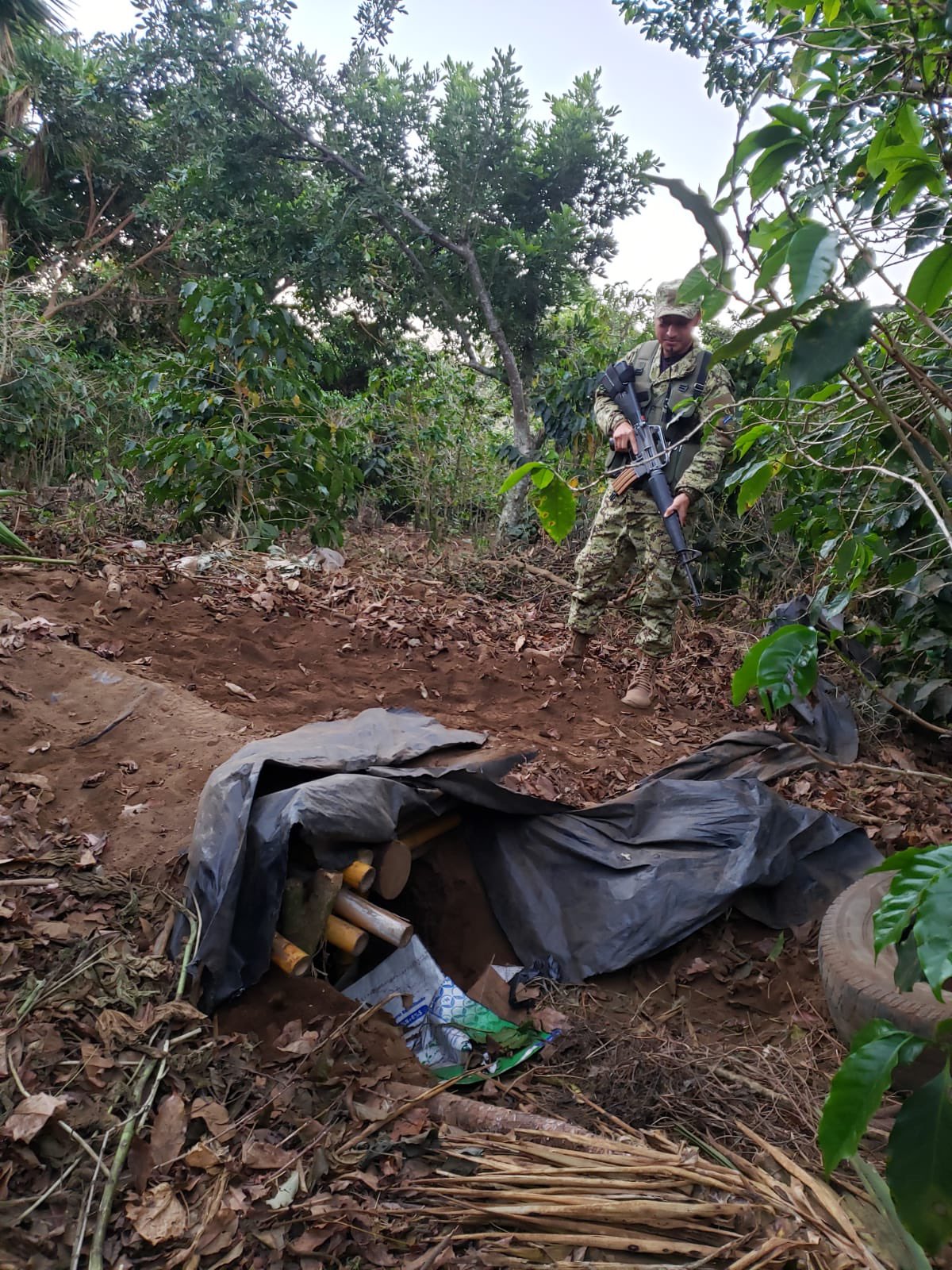 FOTOS | Capturan 4 pandilleros de la MS13 con porciones de marihuana y ...